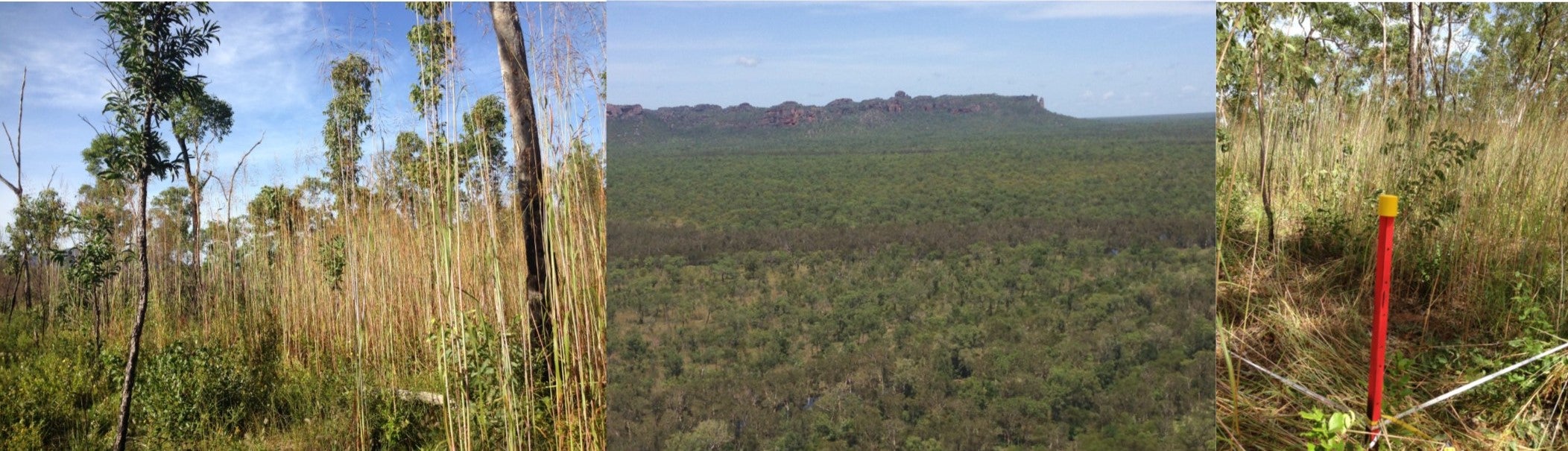 Rehabilitation of mines in the Alligator Rivers Region - Sustainable ...
